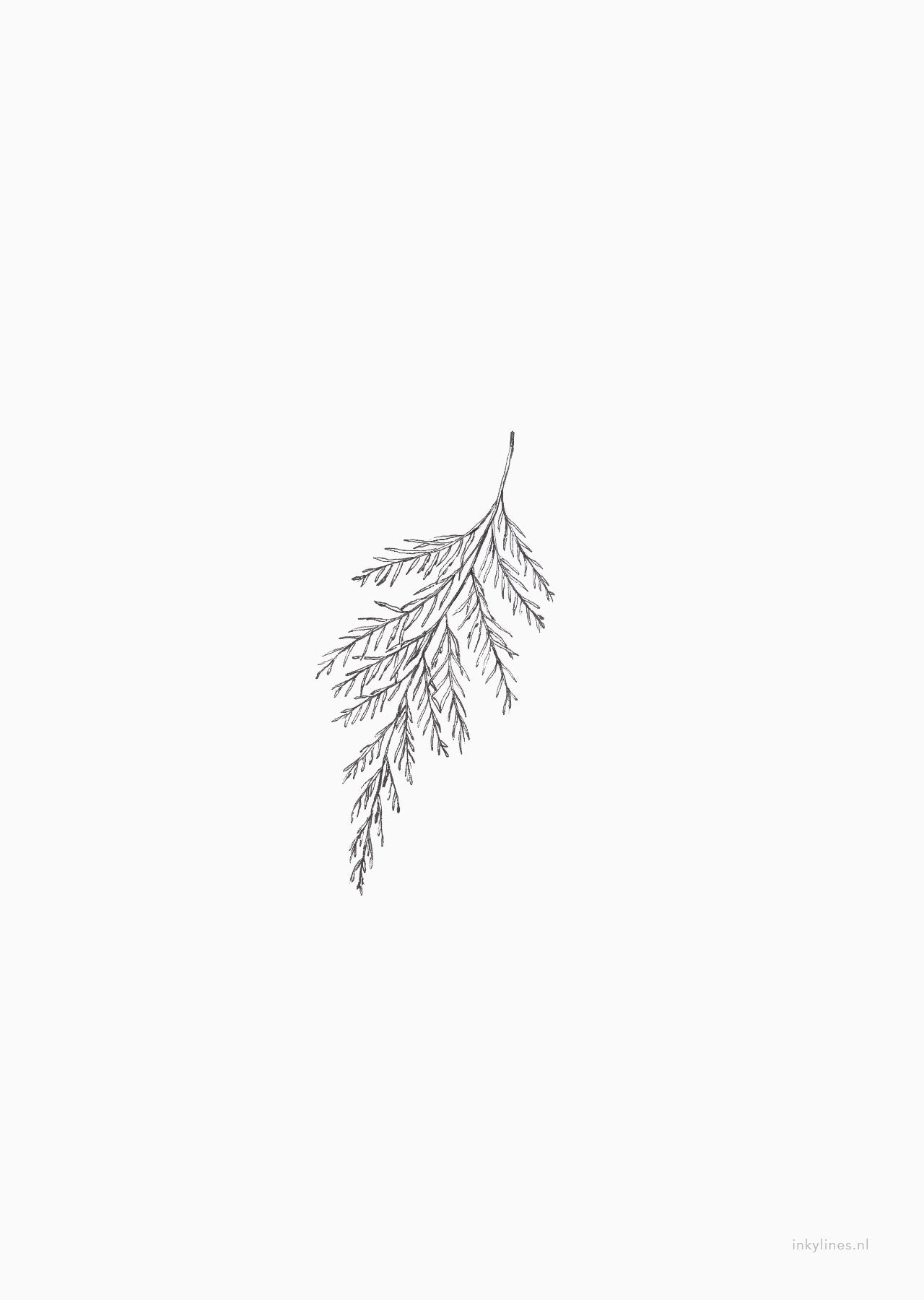 Cedar Tree Branch Tattoo